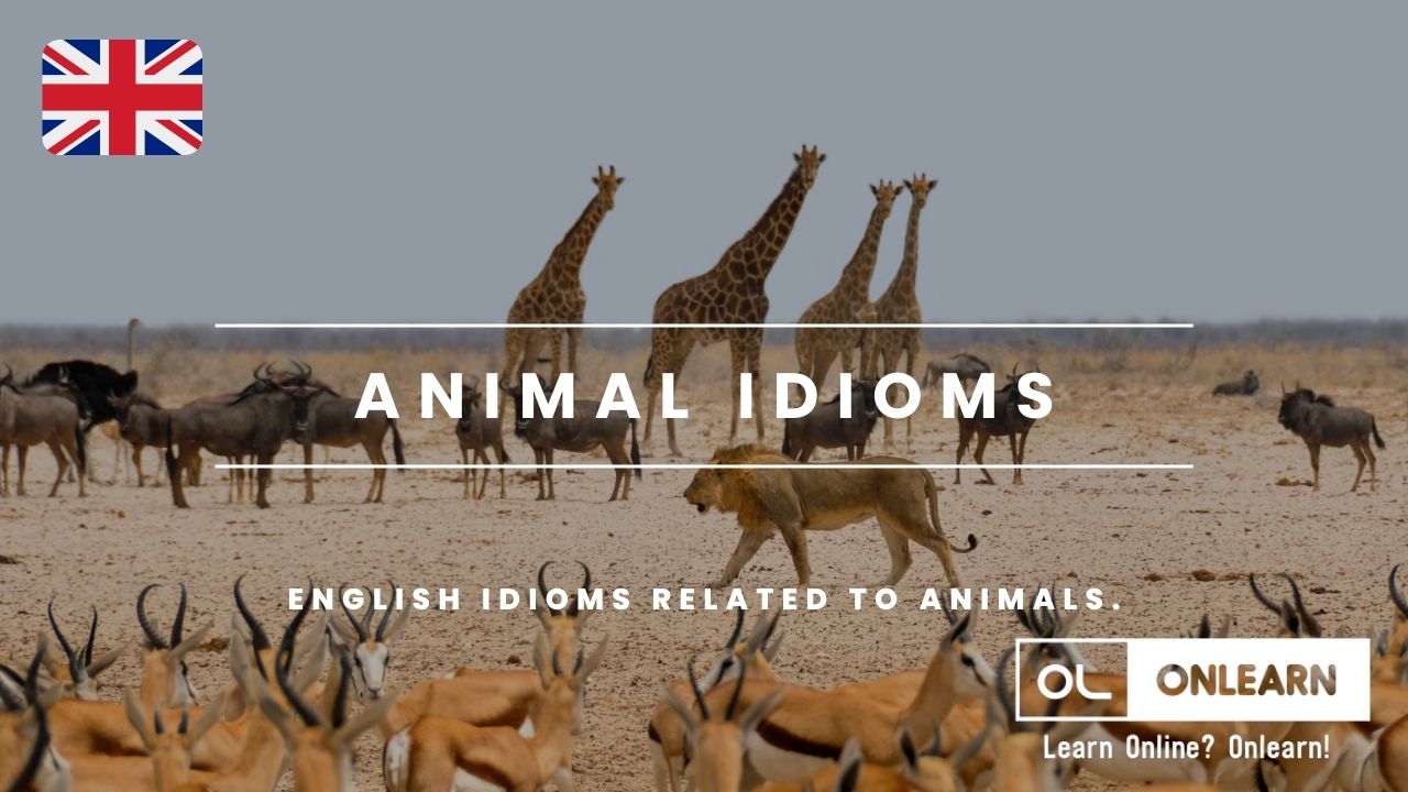 Animal Idioms - Onlearn